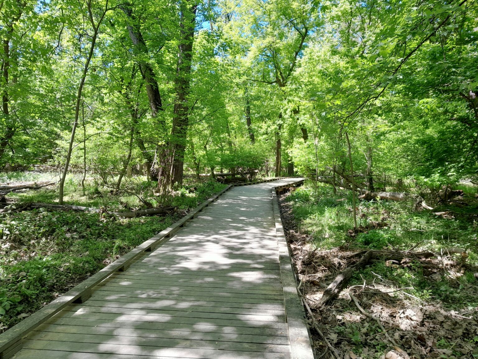 Things To Do | Twin Oaks RV Park